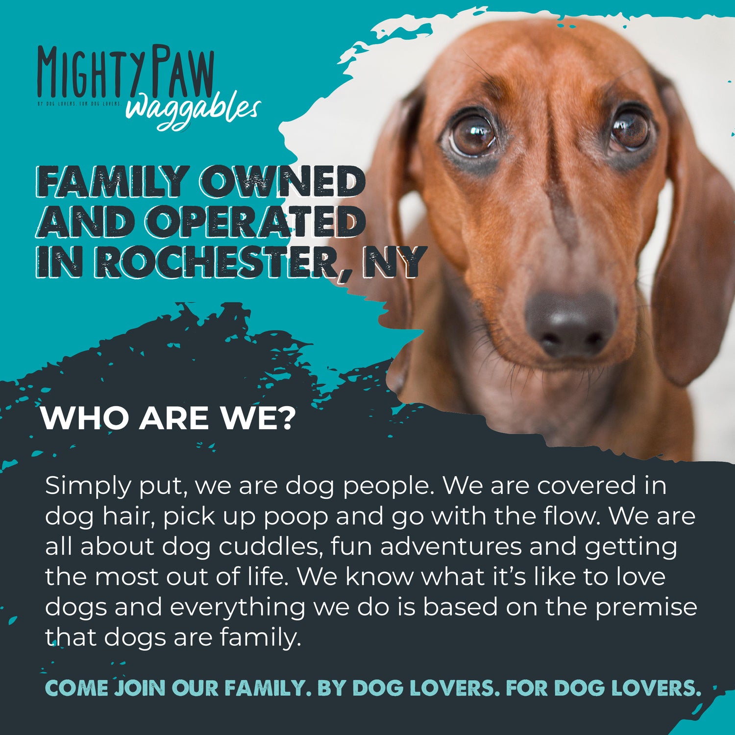 Mighty Eyes Chews for Dogs – Tear Stain and Eye Health Support