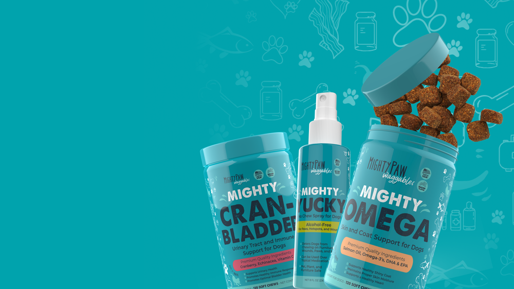 Dog Supplies: #1 Best Selling Dog & Puppy Products | Mighty Paw