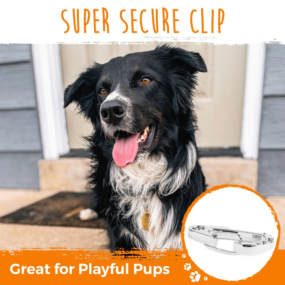 Mighty Paw Dog Tag Carabiner Clips: Secure ID Tag Holder for Dogs (3 Pack)