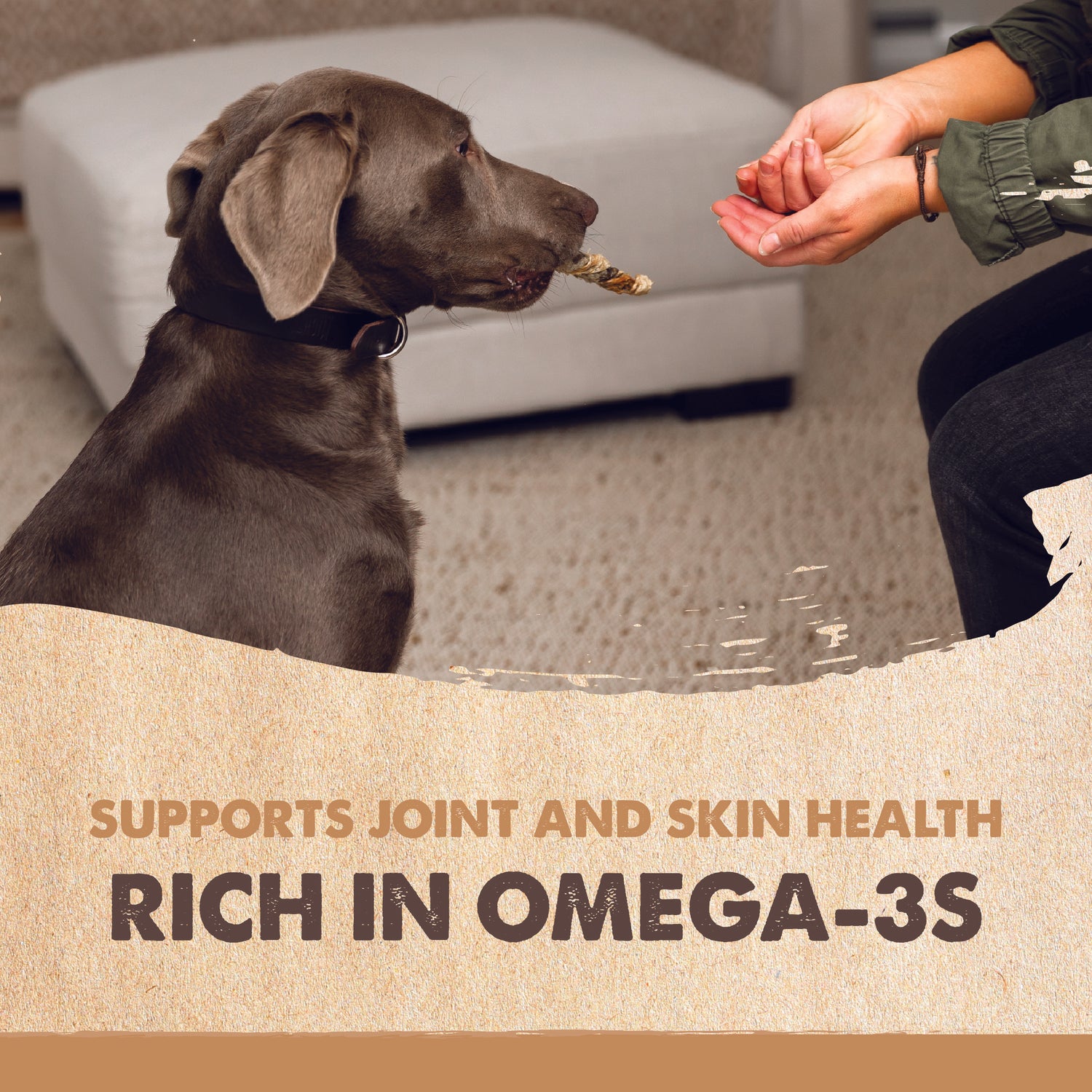 Mighty Paw Naturals Fish Skin Twists | Natural Omega-3 Dog Chews