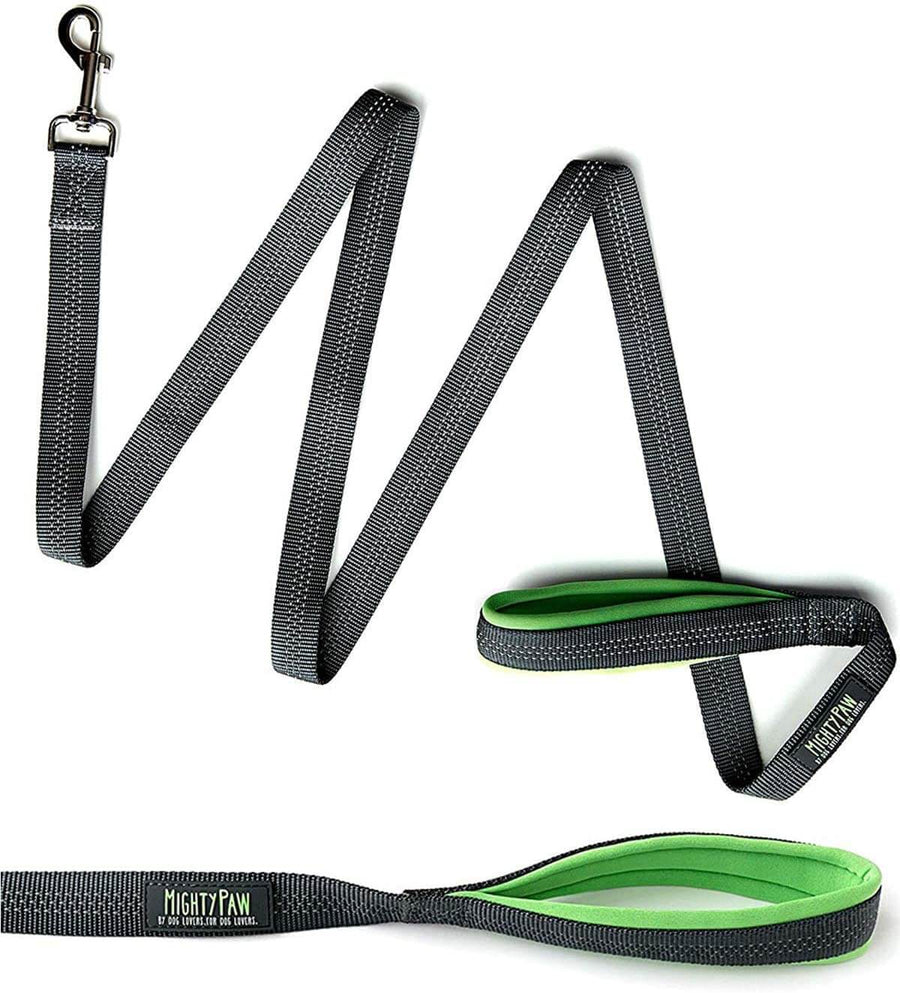 Mighty Paw Standard Dog Leash – Comfort, Safety, and Style