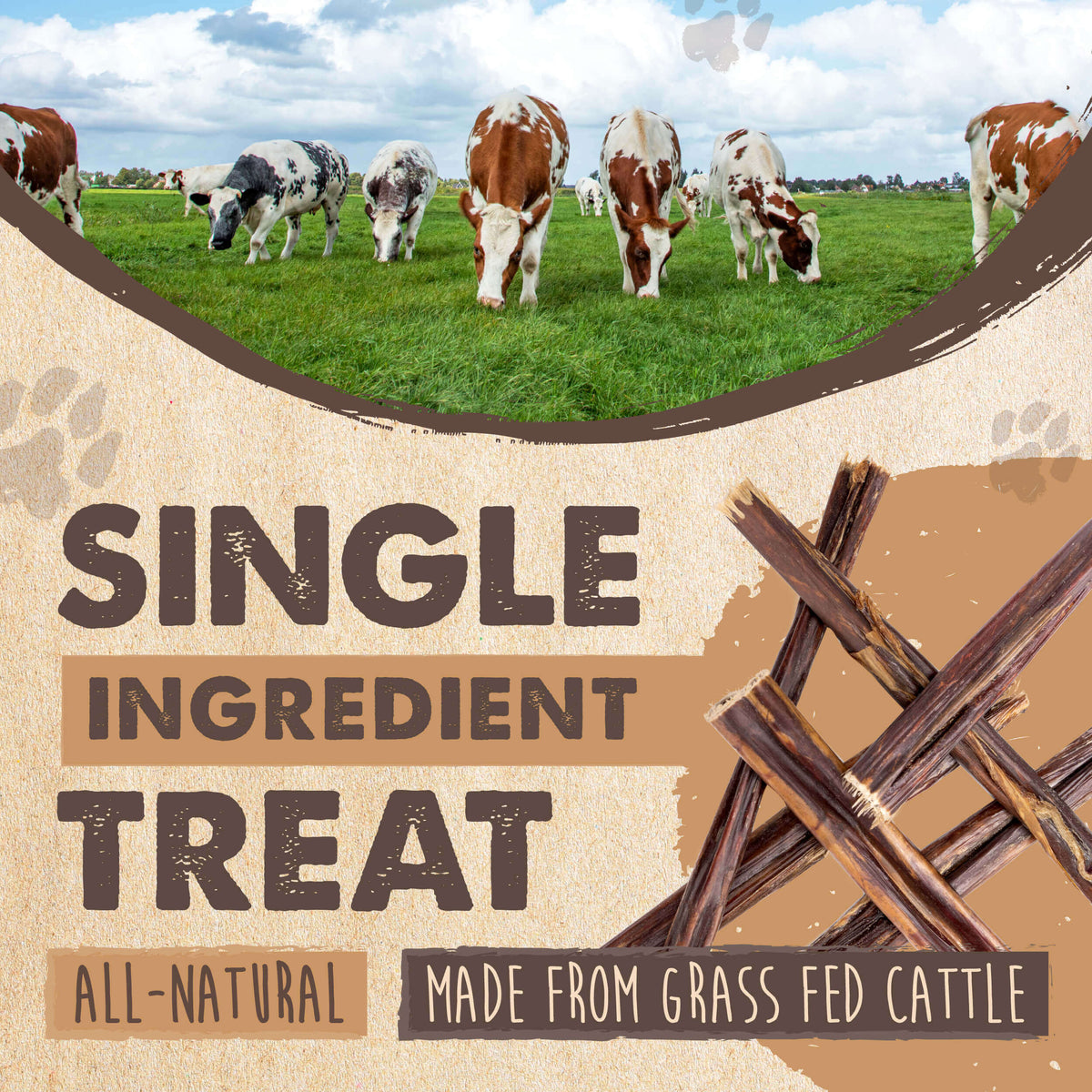 Mighty Paw Beef Gullet Chews: Natural, Crunchy, and Nutritious Dog Treats