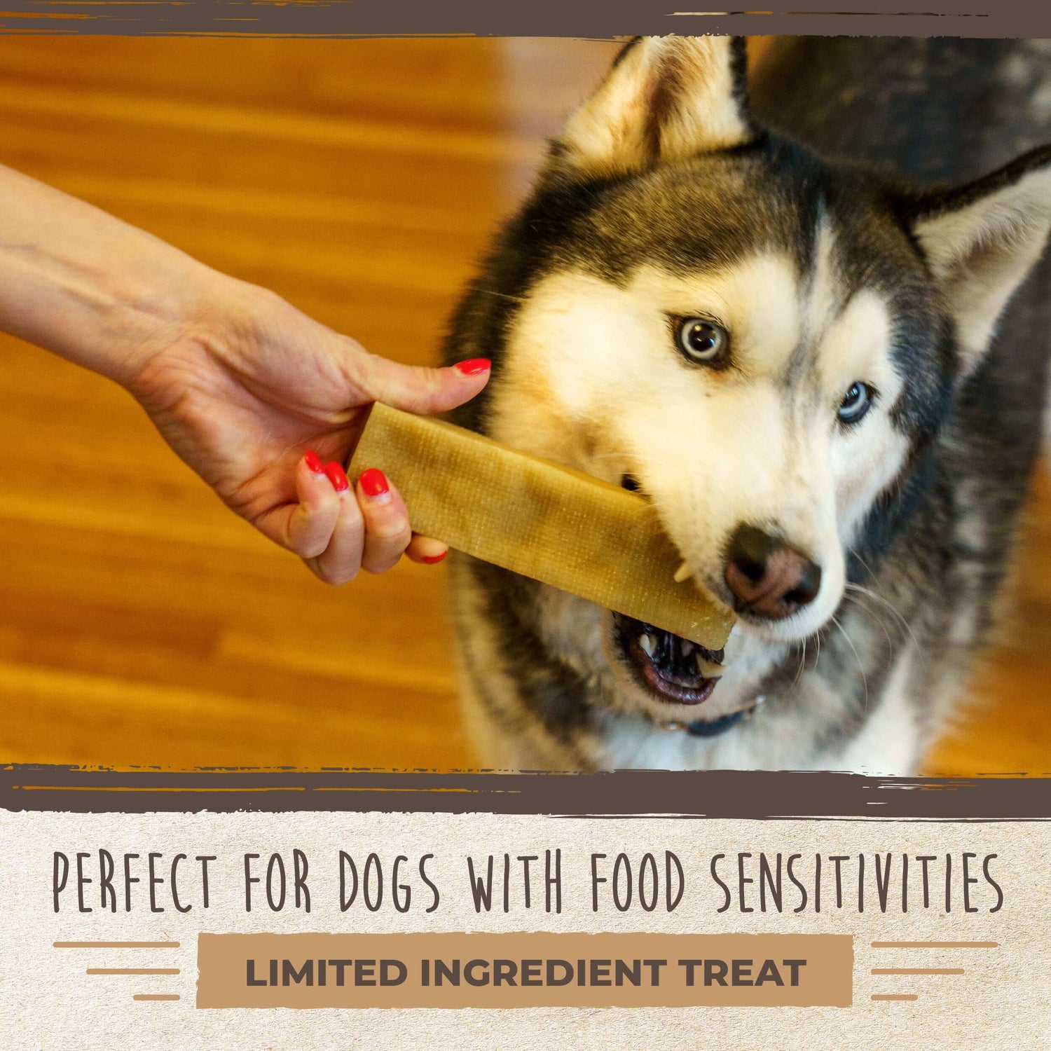 Mighty Paw Yak Cheese Dog Chews: All-Natural Treats for Your Pup