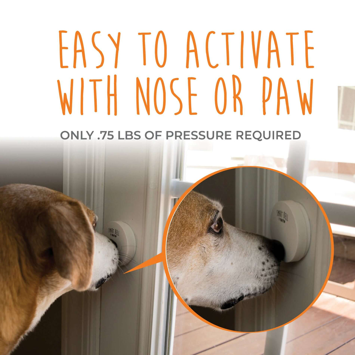 Mighty Paw Smart Bell 2.0: Effortless Communication for Dogs