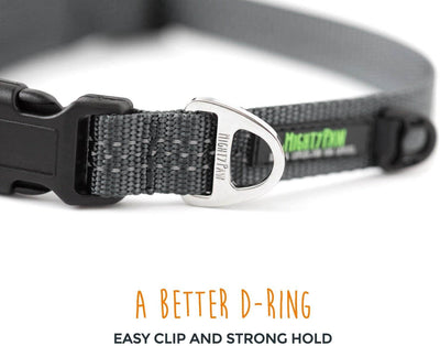 Mighty Paw Reflective Standard Dog Collar – Enhanced Visibility and Comfort