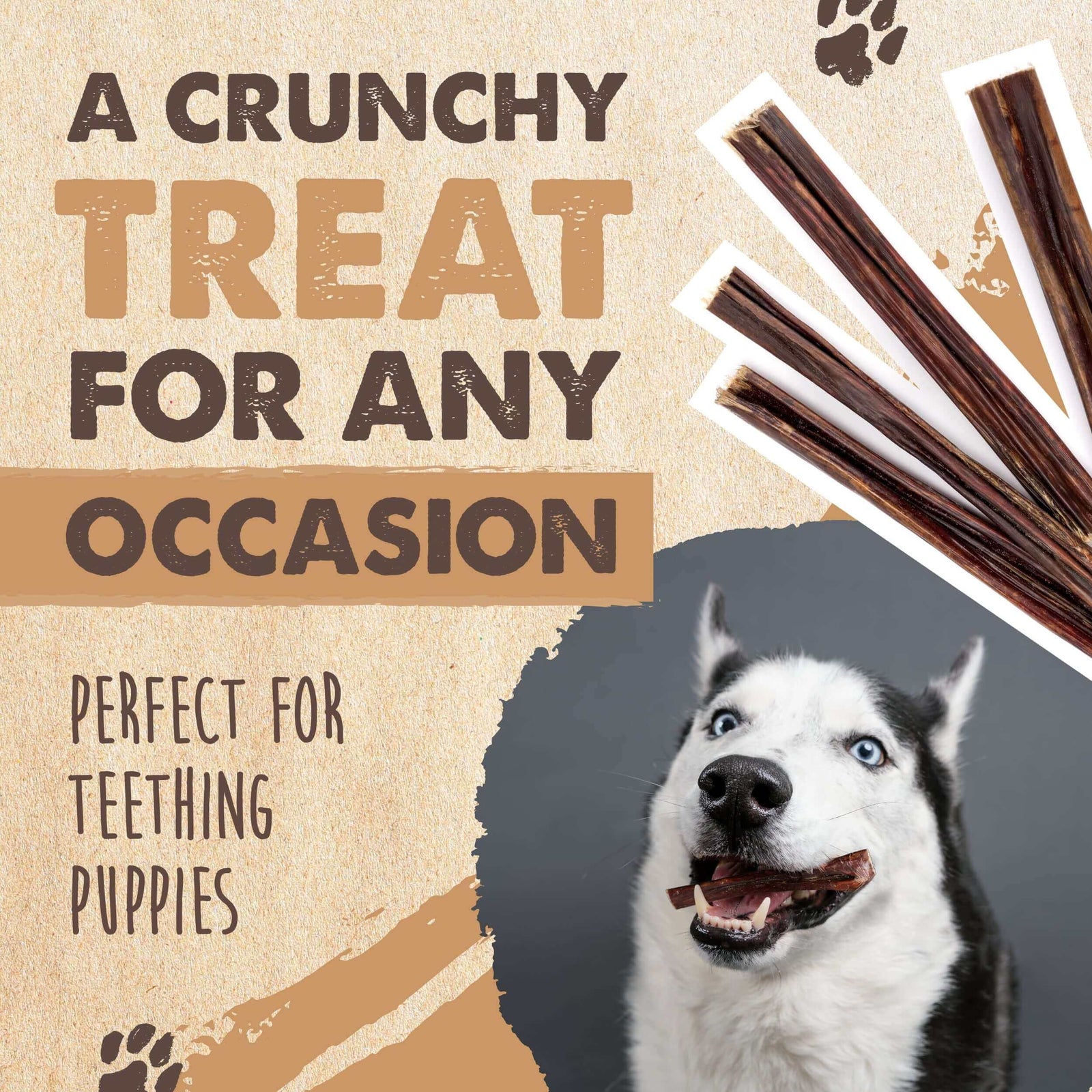 Mighty Paw Beef Gullet Chews: Natural, Crunchy, and Nutritious Dog Treats