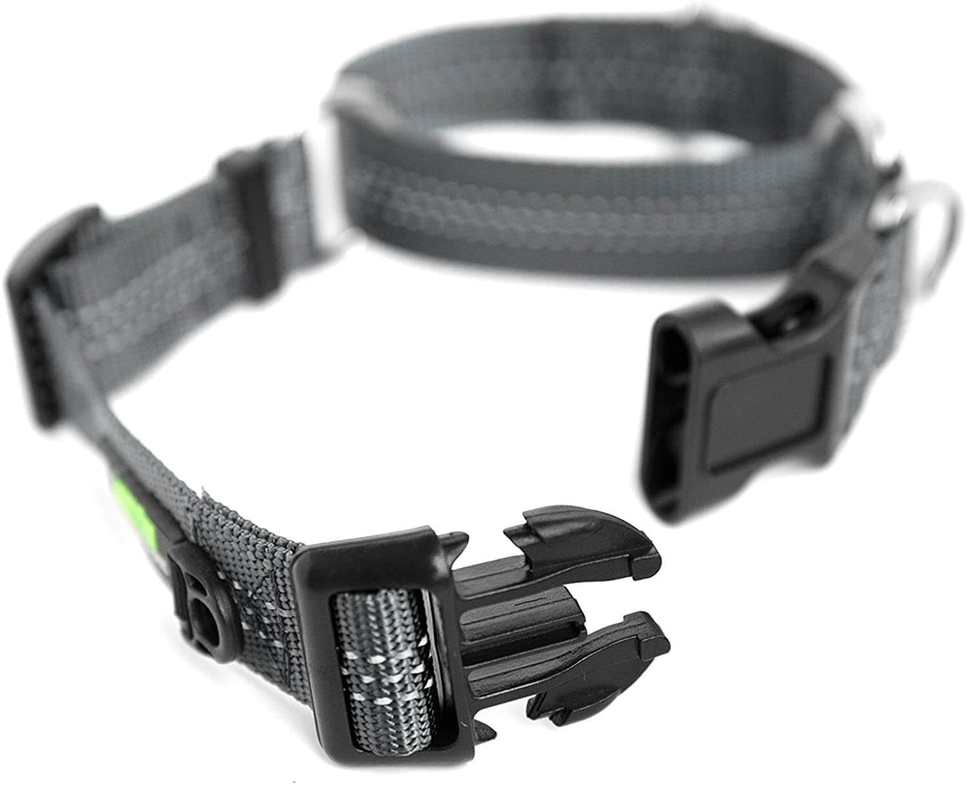 Mighty Paw Nylon Martingale Cinch Dog Collar – Trainer-Recommended for ...