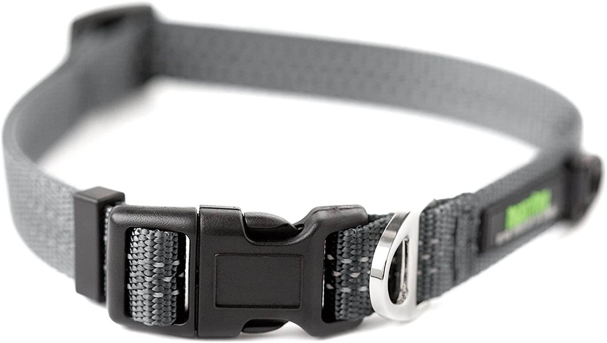 Mighty Paw Reflective Standard Dog Collar – Enhanced Visibility and Comfort