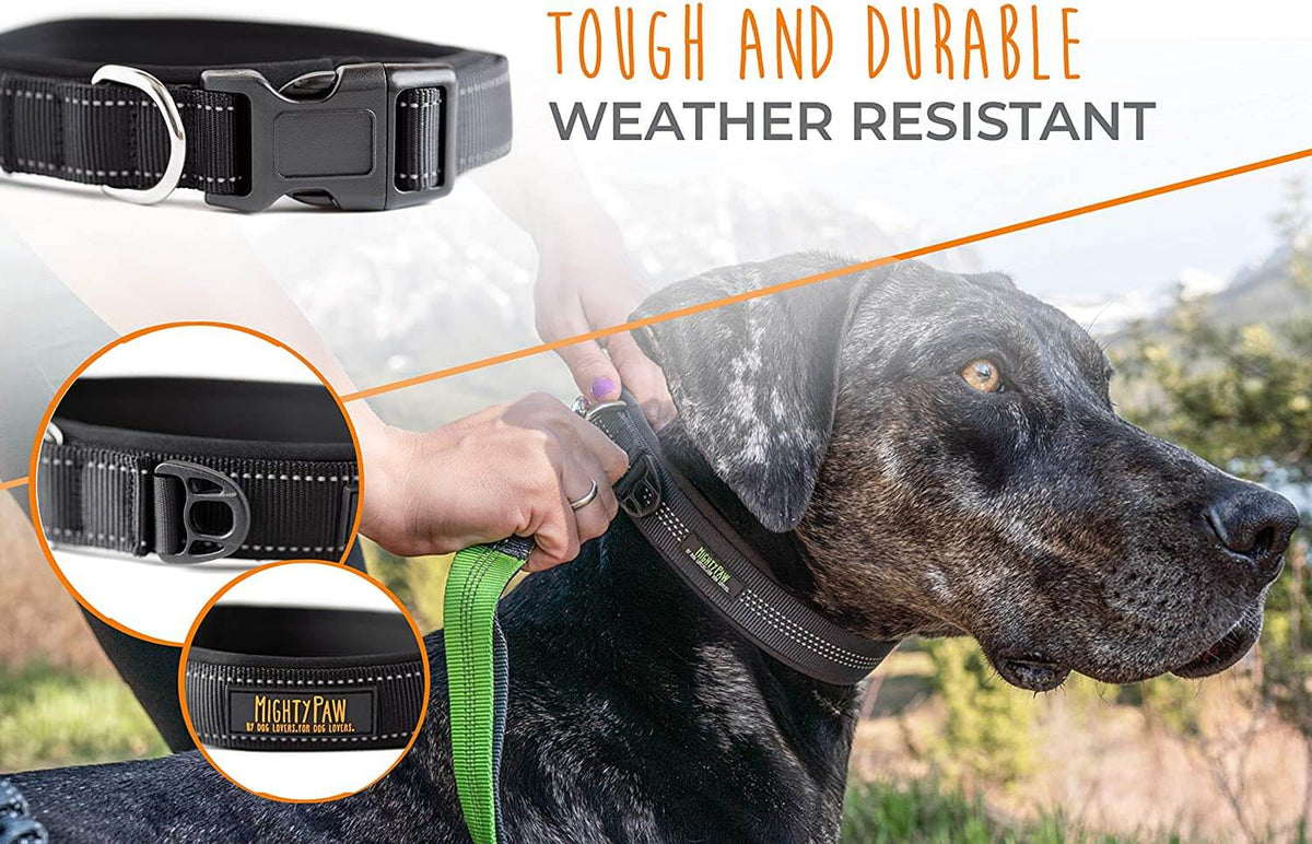 Neoprene Padded Dog Collar - Mighty Paw Sport Collar with Reflective ...