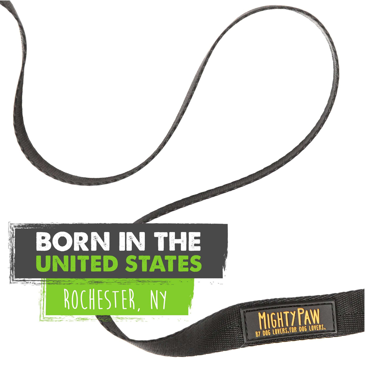 Enhance Training with Mighty Paw Long Leash | 15' or 30' Options