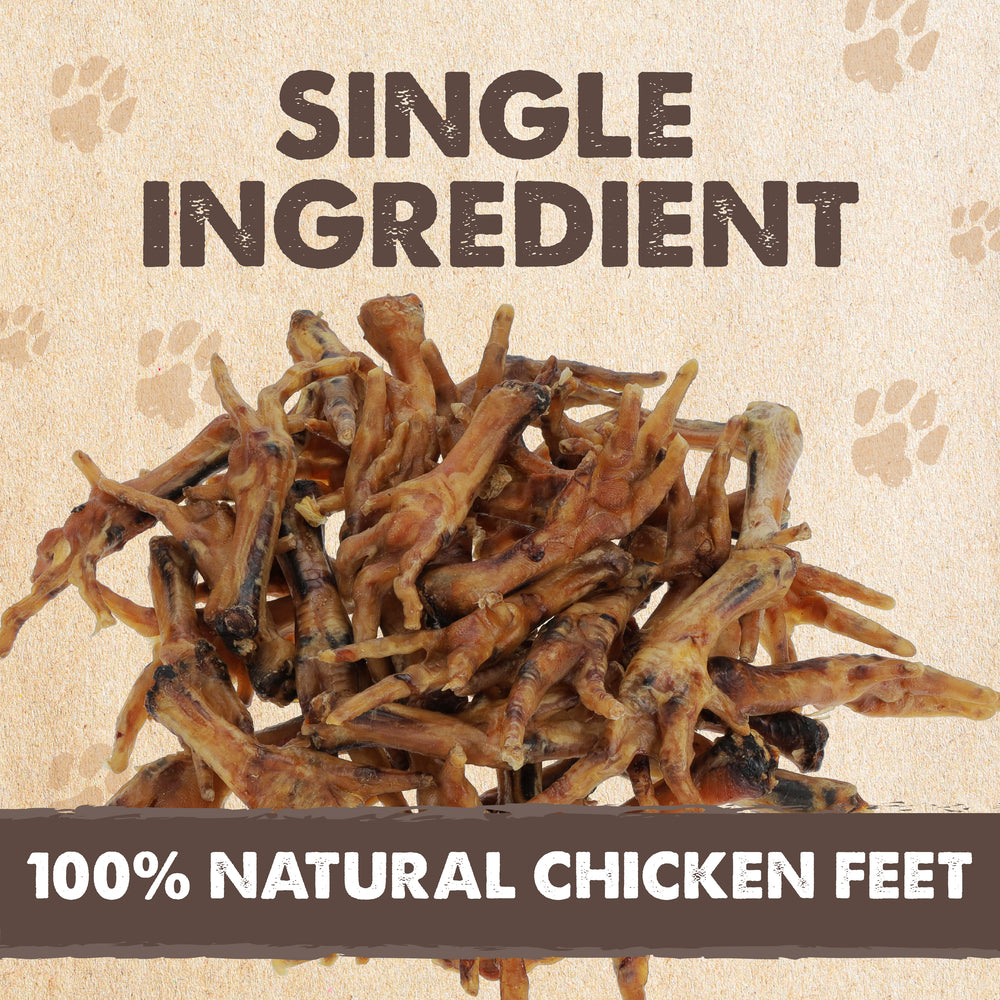 Mighty Paw Chicken Feet Dog Chews | Crunchy & Nutritious Treats