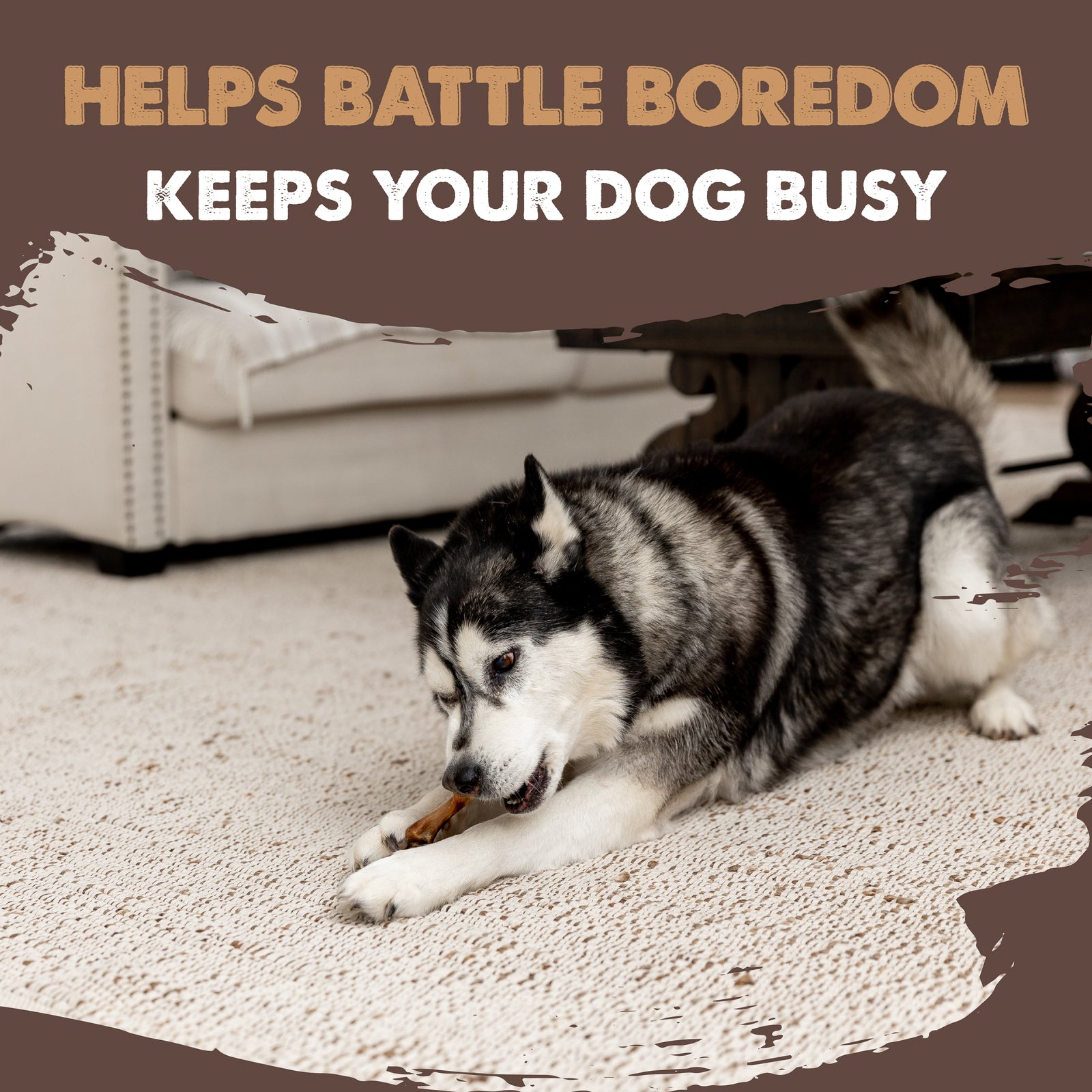 Mighty Paw Chicken Feet Dog Chews | Crunchy & Nutritious Treats