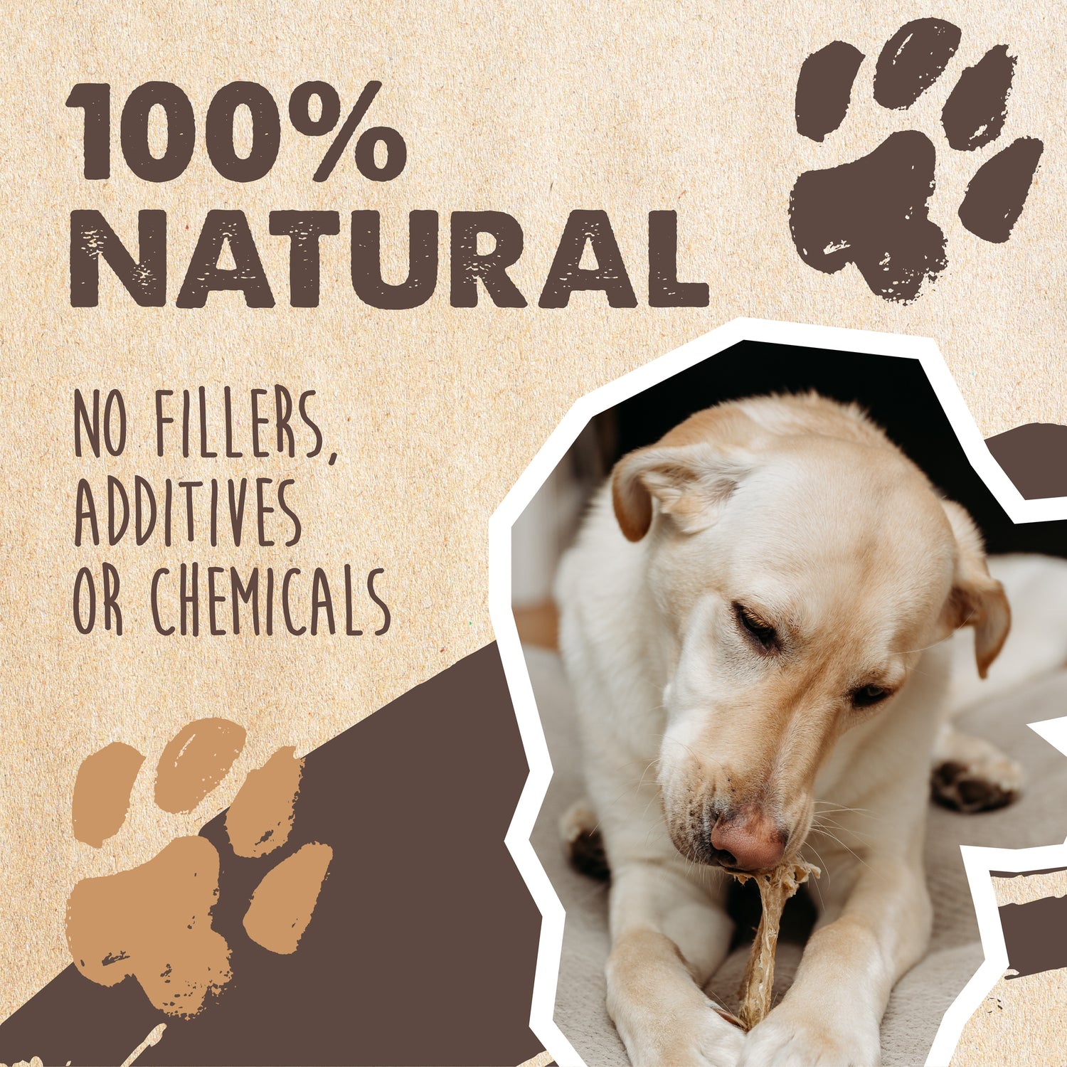 Mighty Paw Naturals Cow Ear Dog Chews - All-Natural, Grain-Free Treats