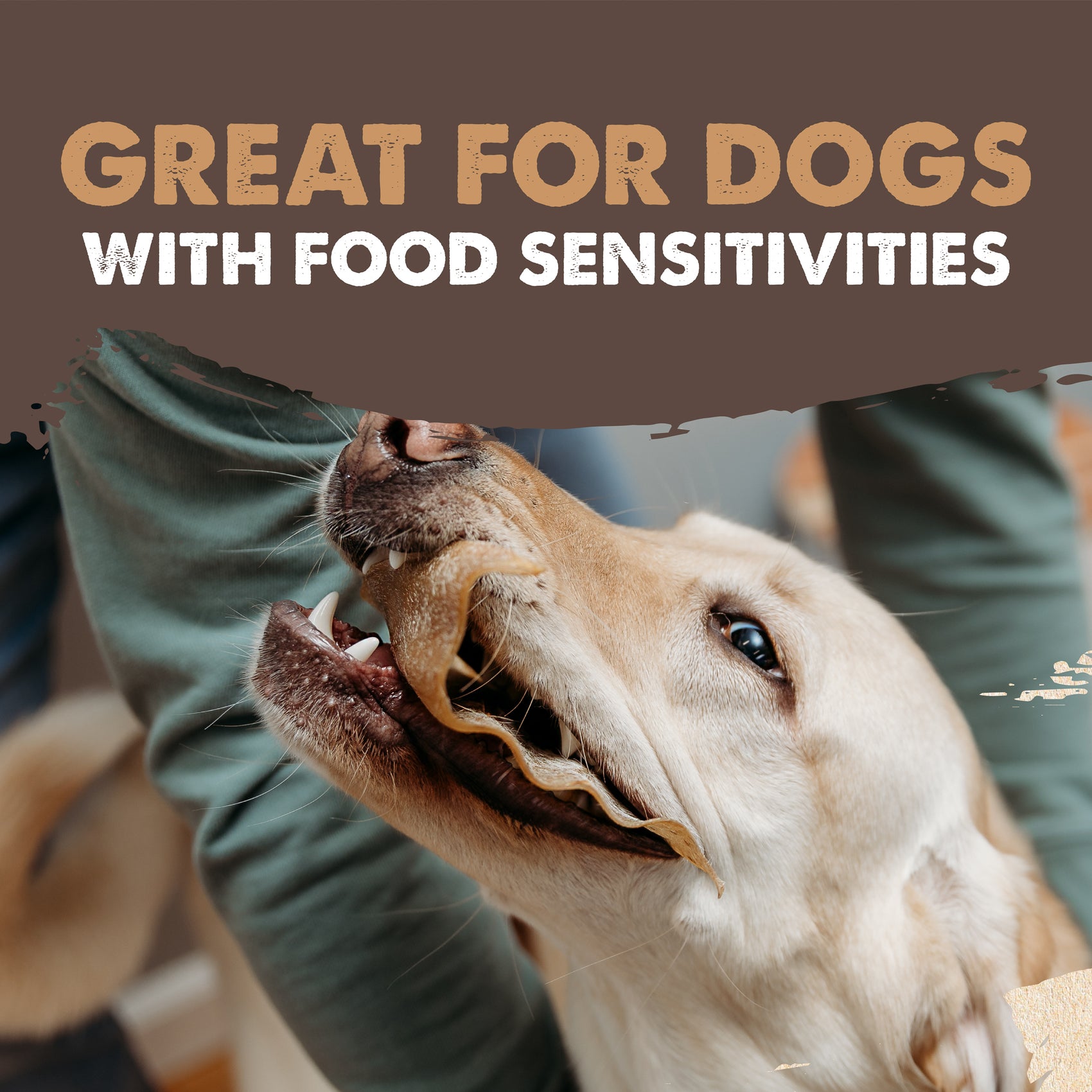 Mighty Paw Naturals Cow Ear Dog Chews - All-Natural, Grain-Free Treats