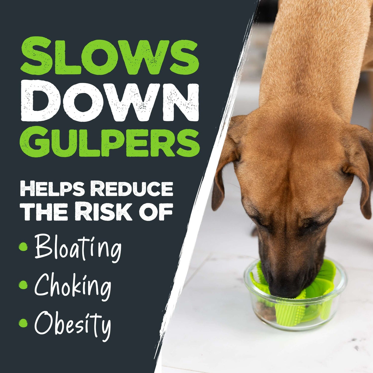 Slow Feeder Insert for Dog Bowl - BPA-Free & Vet-Recommended