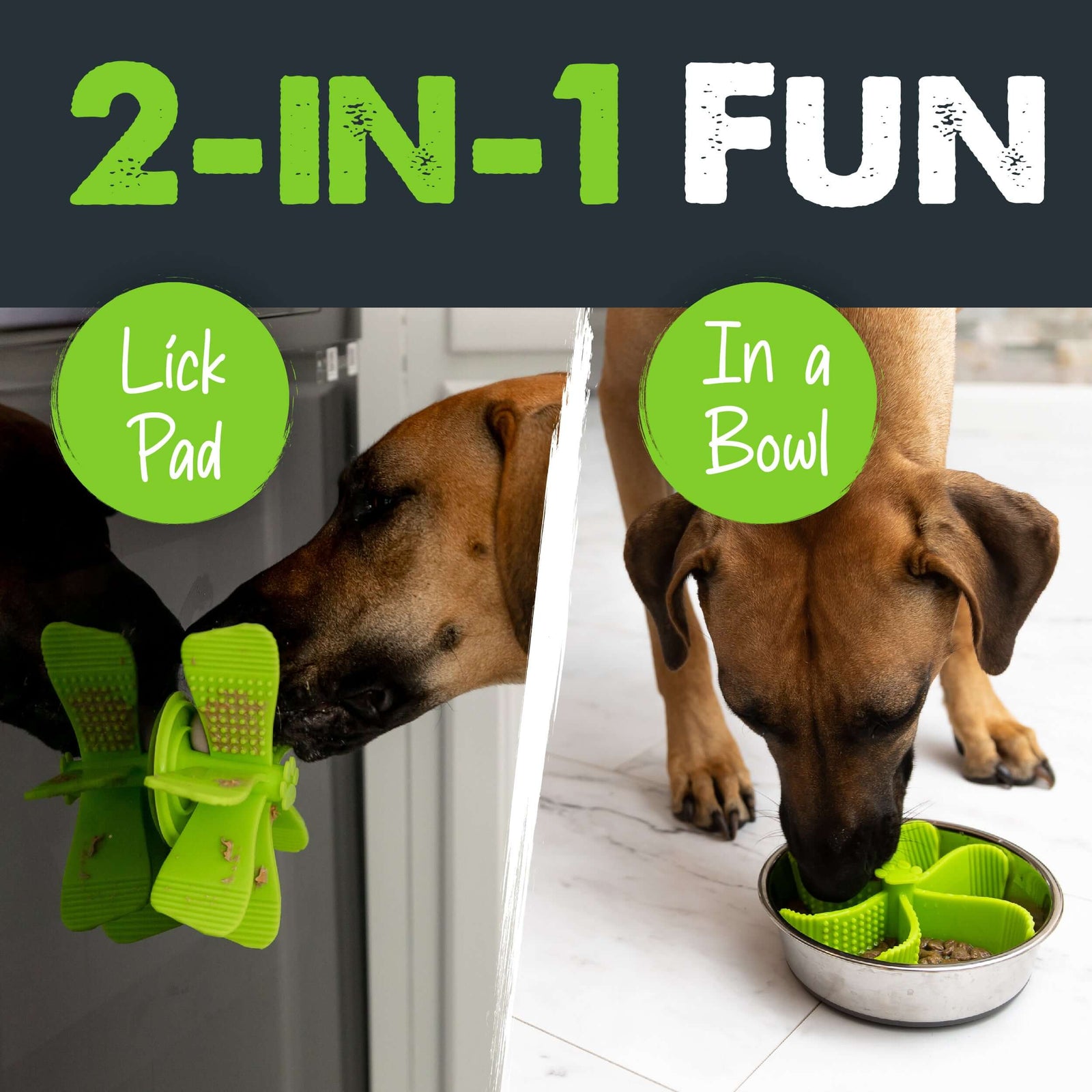Slow Feeder Insert for Dog Bowl - BPA-Free & Vet-Recommended