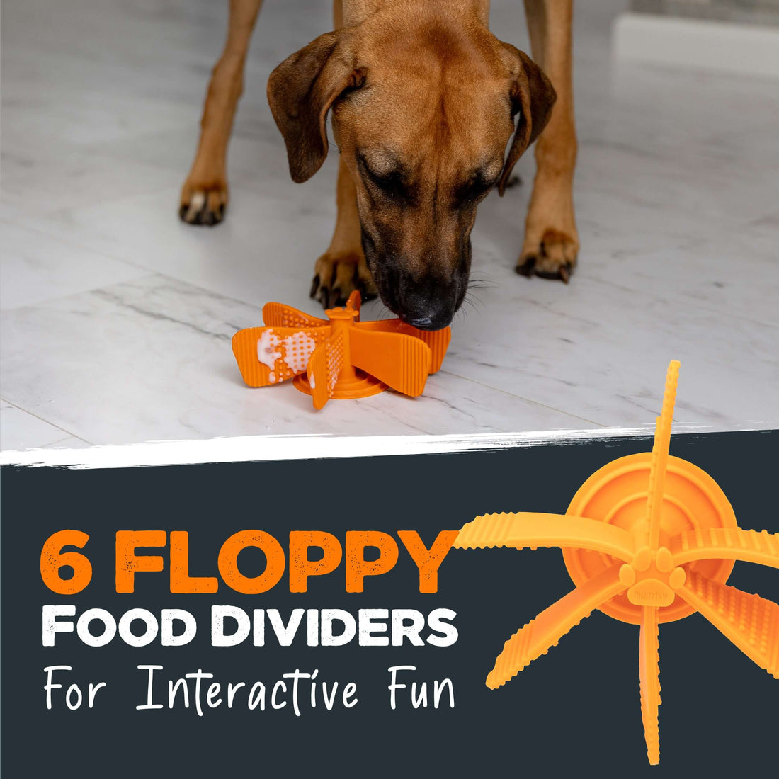 Dog Leashes | Mighty Paw