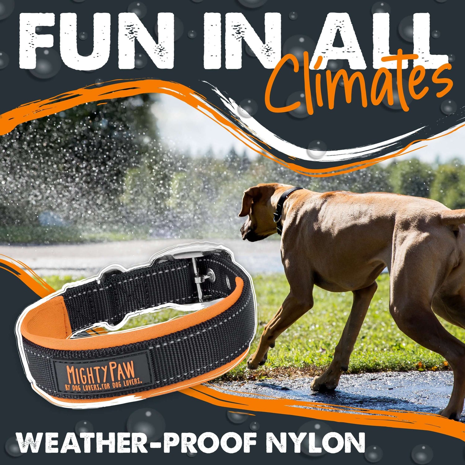 Mighty Paw Sport Collar 2.0 – Comfortable, Durable for Active Dogs