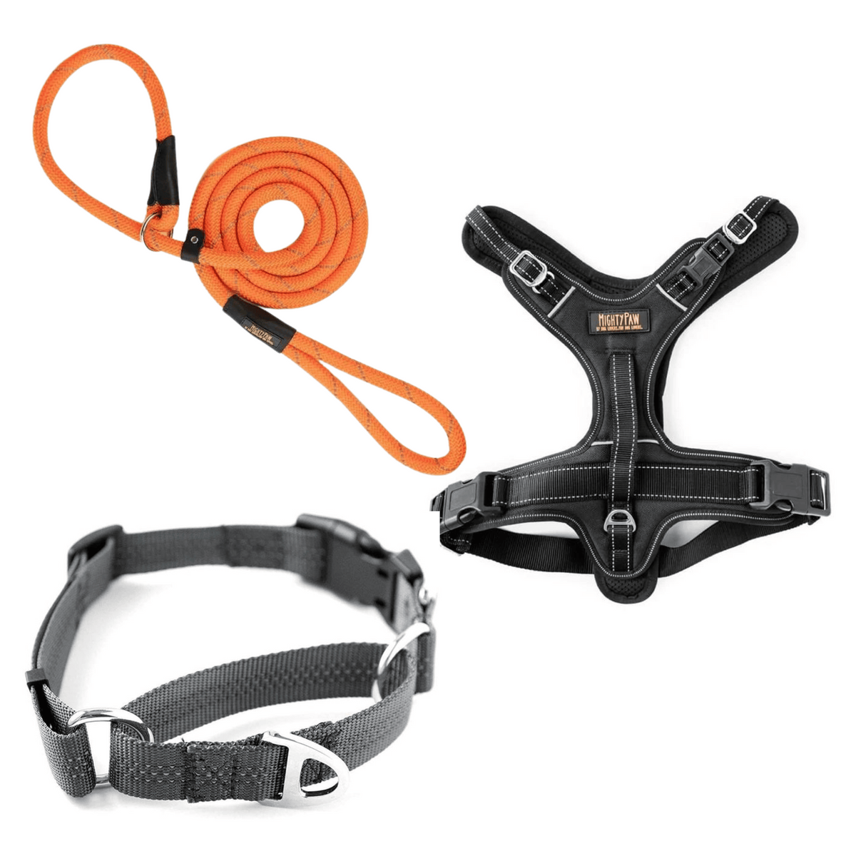 BUNDLES | Mighty Paw | Leashes, Collars, Harnesses & More!
